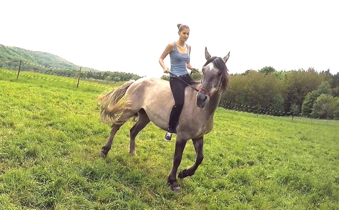 beautiful moments with my horse (GoPro hero 4 black) HD - YouTube