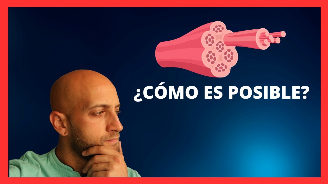Como hacer un test muscular con kinesiología 💪 - YouTube