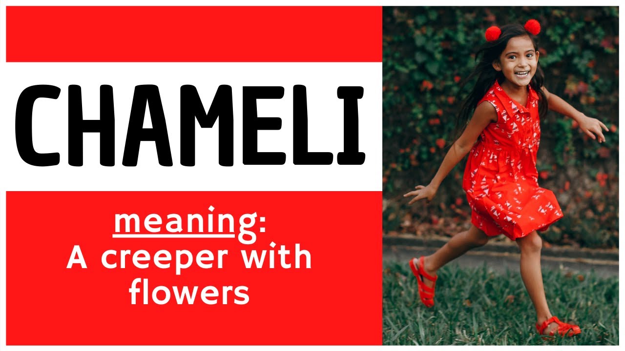 Chameli - Chameli Name Meaning – Chameli Name Status - Indian baby girl ...