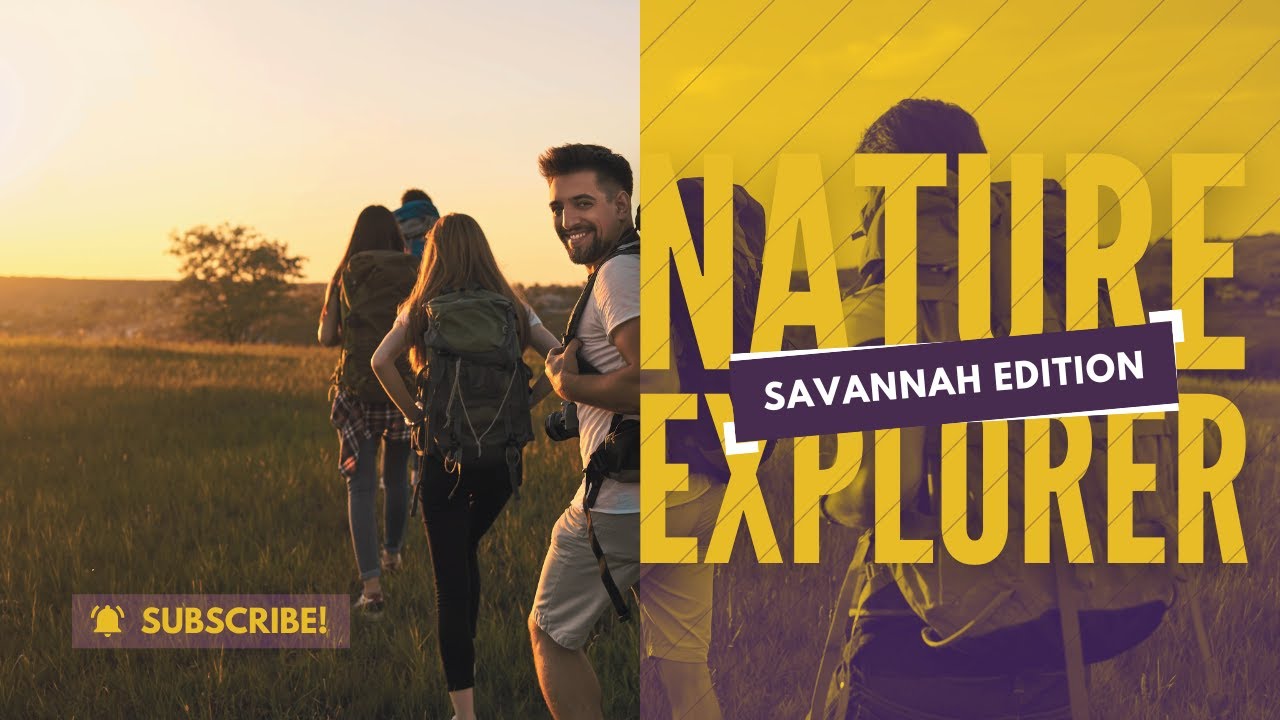 Luxury Safari Experience - Opulent African Savannah Adventure - YouTube