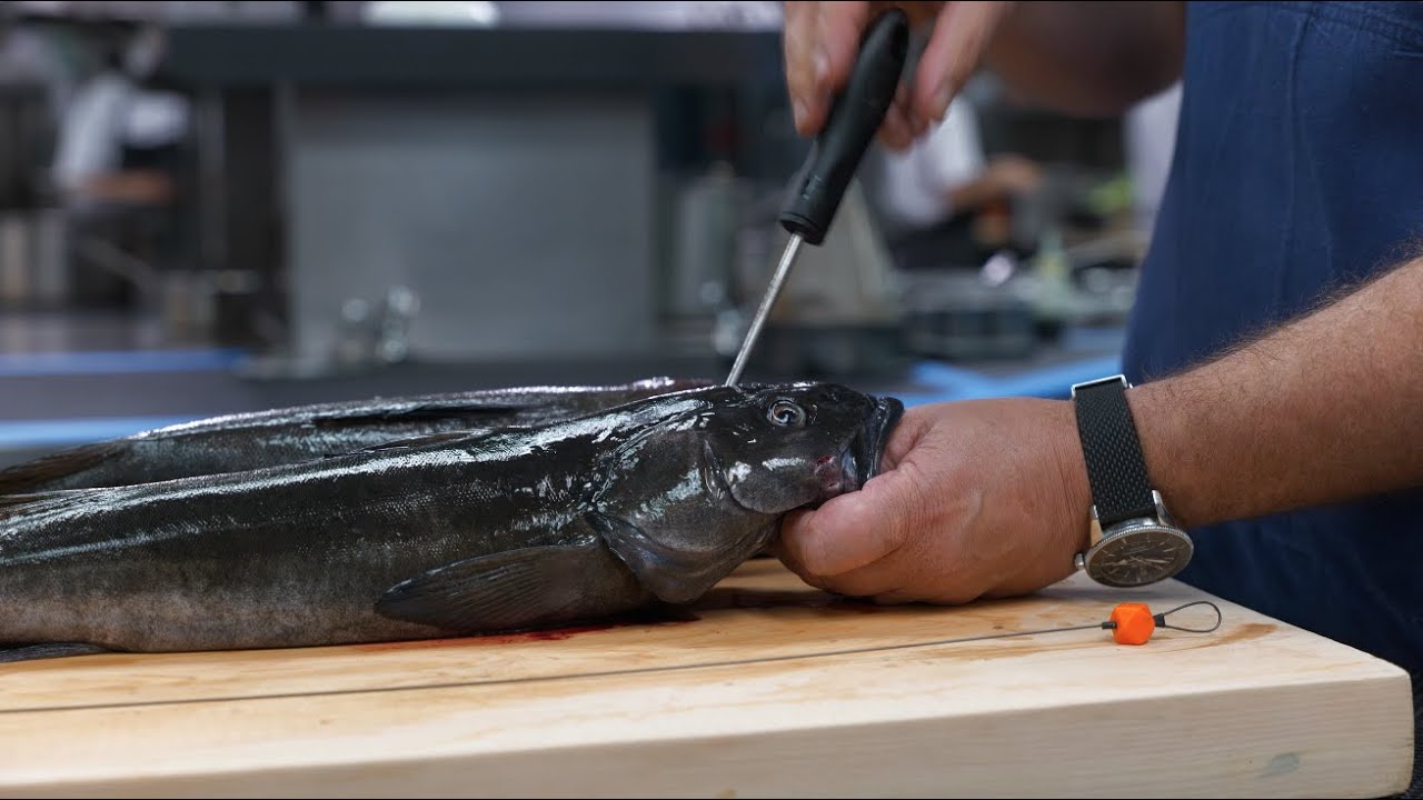 Ike-jime Black Cod with Truffles | Michelin chef Michael Cimarusti ...