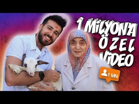 SELÇUK BÜYÜK - ADAK KESTİK, DAĞITTIK