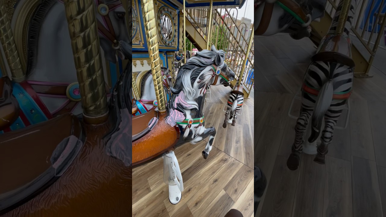 Indiana State Fair Double Decker Carousel POV #carousel #fun #funride #carouselride #statefair # ...