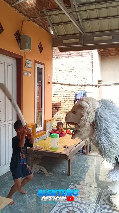 Bocil ff keluar rumaah kaget ada macan masuk ambil pedang hajar can macanan - YouTube