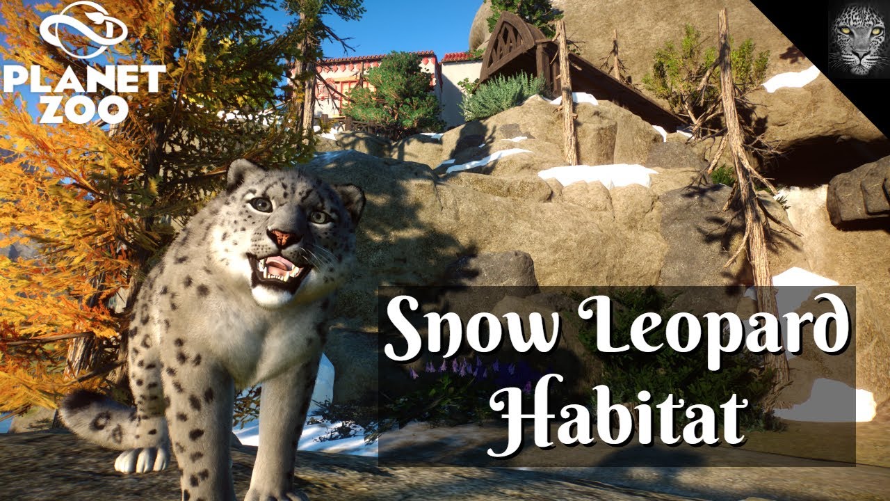 Snow Leopard Habitat - Sombat Zoo - Planet Zoo Speed Build Part 2 - YouTube