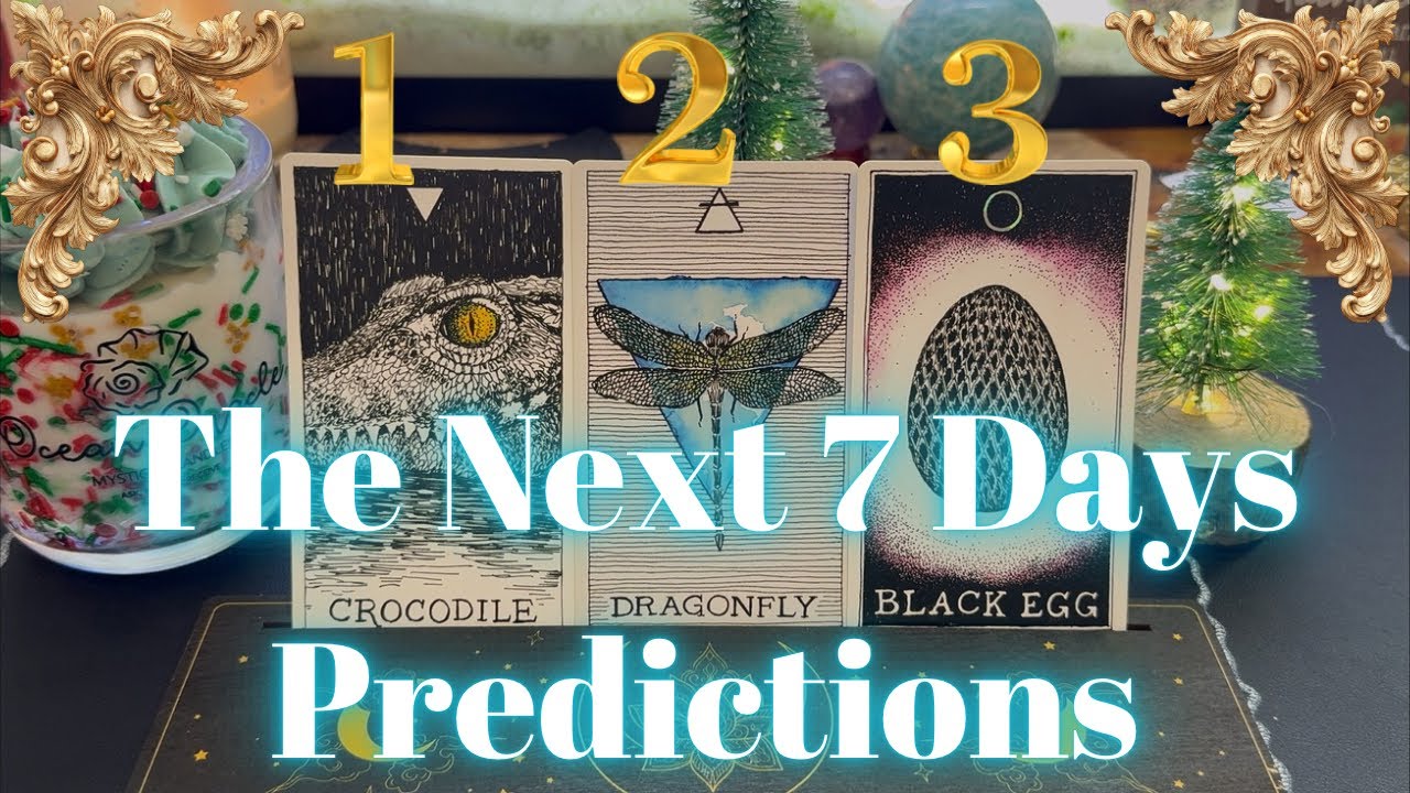 The Next 7 Days Predictions 🎄Pick A Card🎄 - YouTube