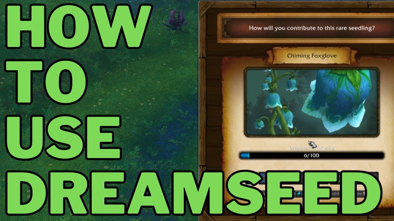 PTR 10.2: How to use Dreamseed - YouTube