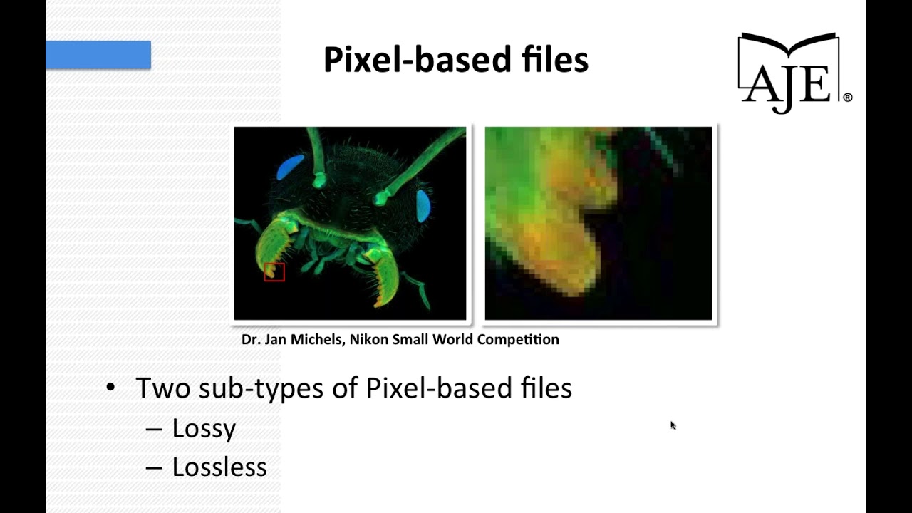 Webinar: Creating Figures For Scientific Posters - YouTube