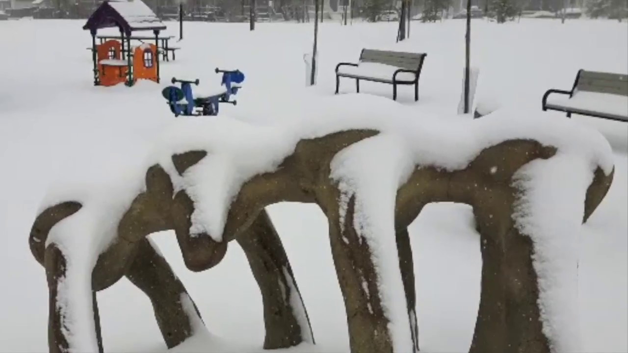 Snow in spring in Edmonton Canada - YouTube