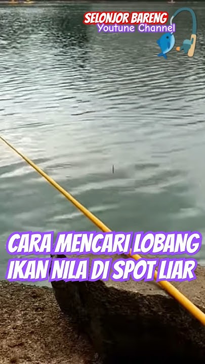 Cara Mencari Lobang Ikan Nila di Spot Liar #mancinglobangikannila #mancingmania #mancing # ...