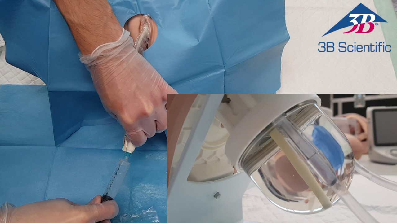 Catheterization Simulator PRO, female - YouTube
