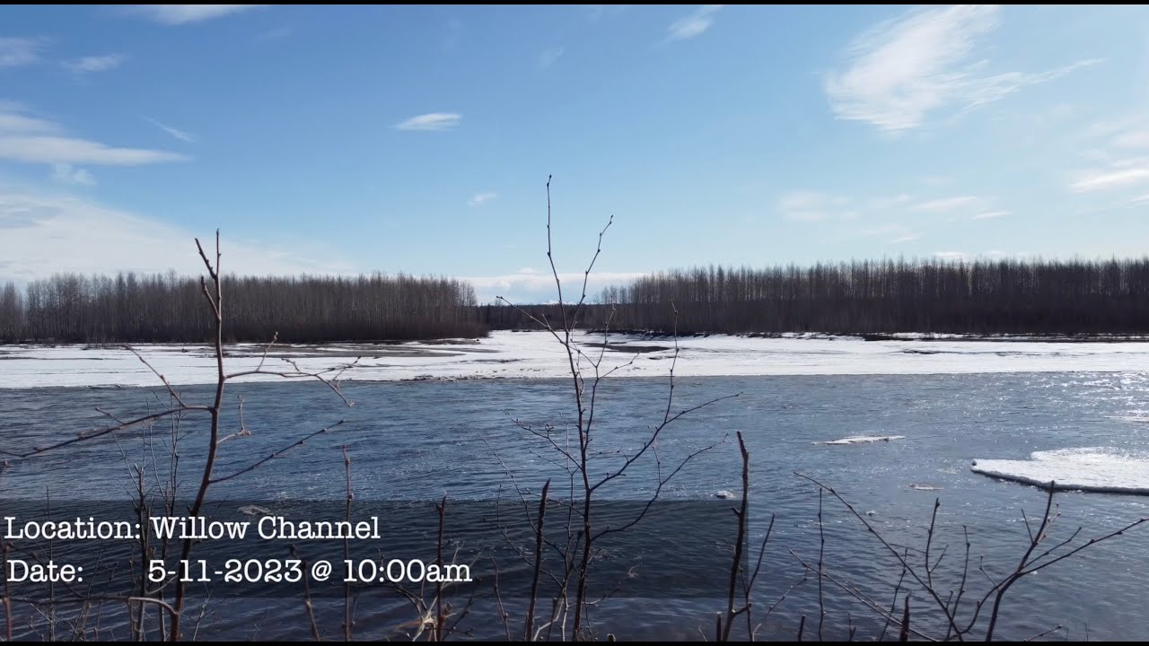 Willow Channel 5-11-2023 - YouTube