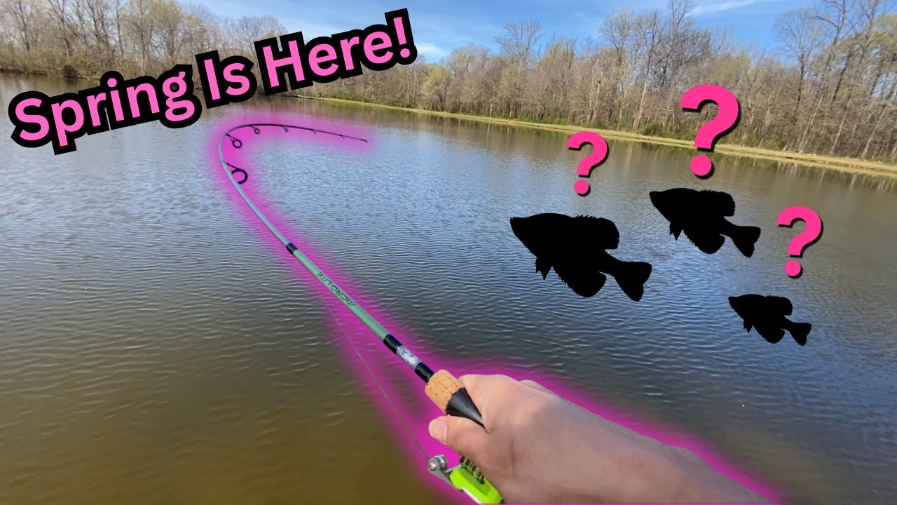 Spring Bites Are ON! What Are We Going Catch??? - YouTube
