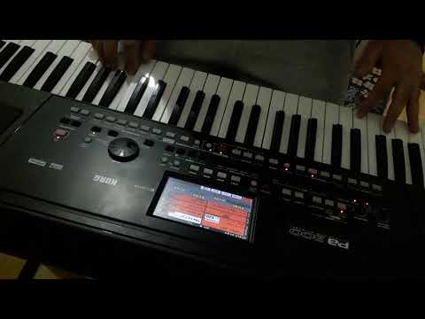 Türkü mey bağlama Saçlarını taramışsın KORG pa 300