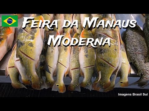 Feira da Manaus Moderna | AMAZONAS | Brasil ©Todos Direitos Reservados ...