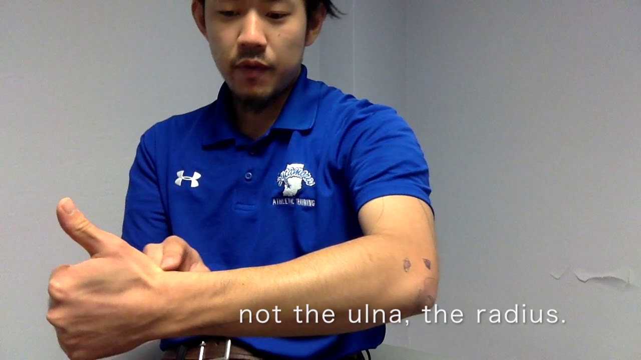 Elbow landmark palpation - YouTube