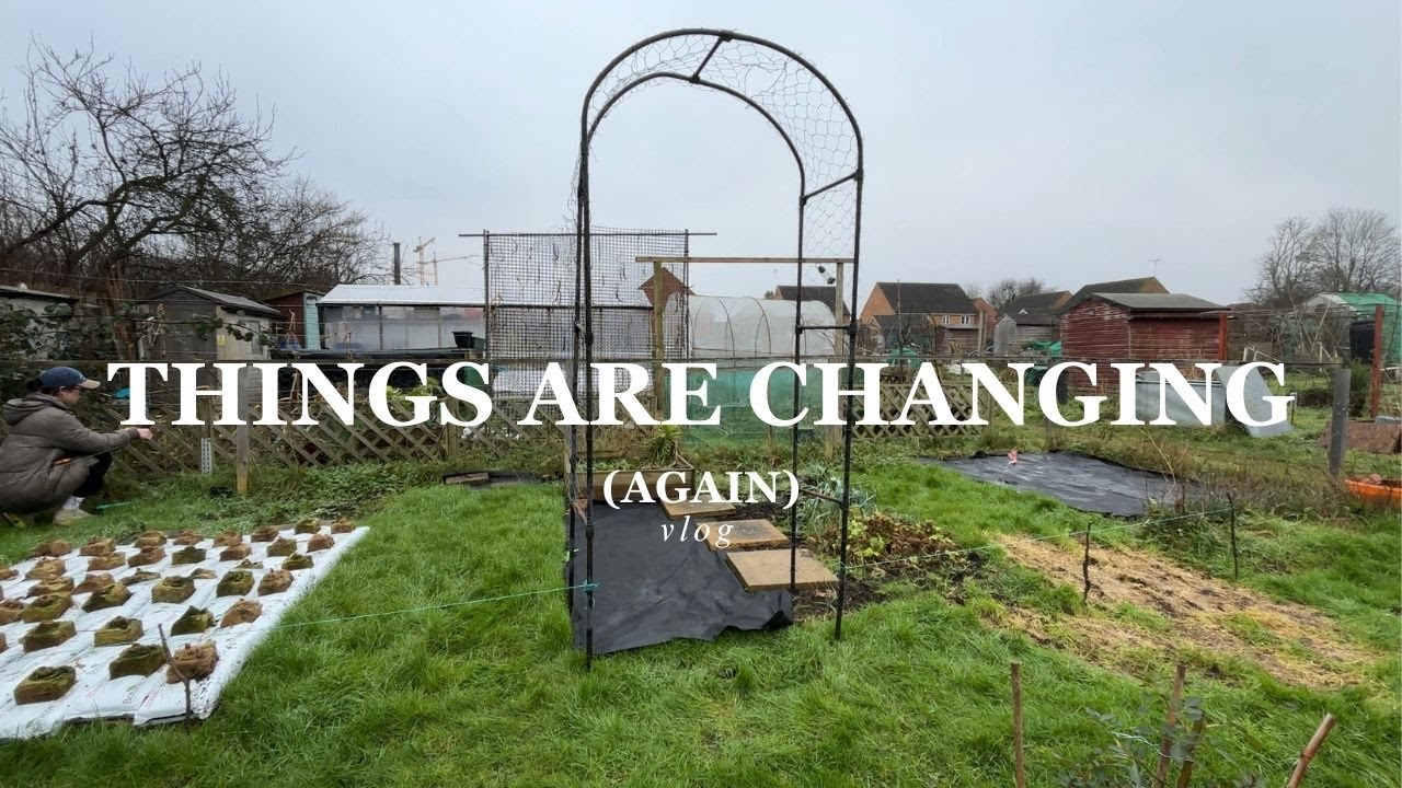 ALLOTMENT VLOG | Things are changing (again) 🌱 - YouTube