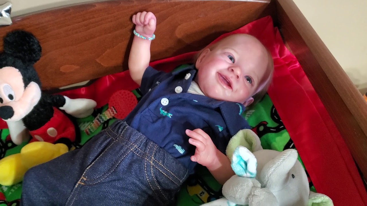 Reborn Theme Thursday "Swans/Ducks/Lamas/Sloths and other animals ...