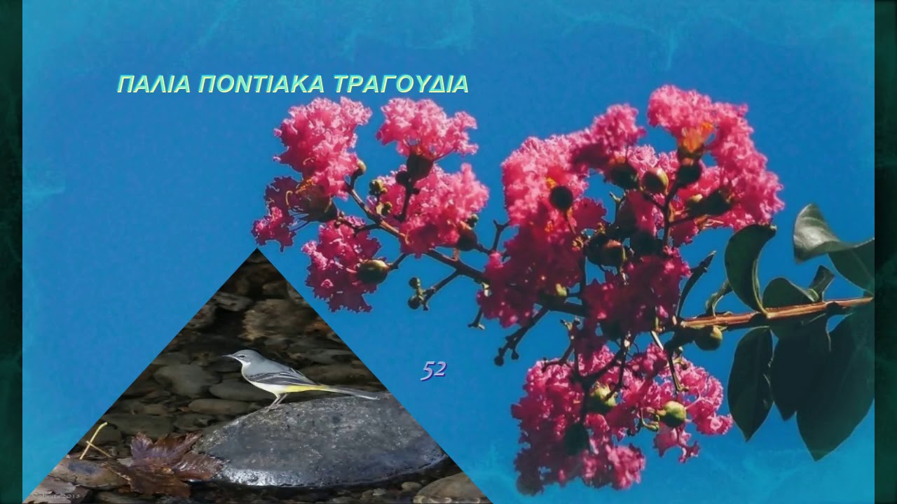 full hd 720p}ΠΟΝΤΙΑΚΑ ΤΡΑΓΟΥΔΙΑ♫💎💕🌺2/2 - YouTube