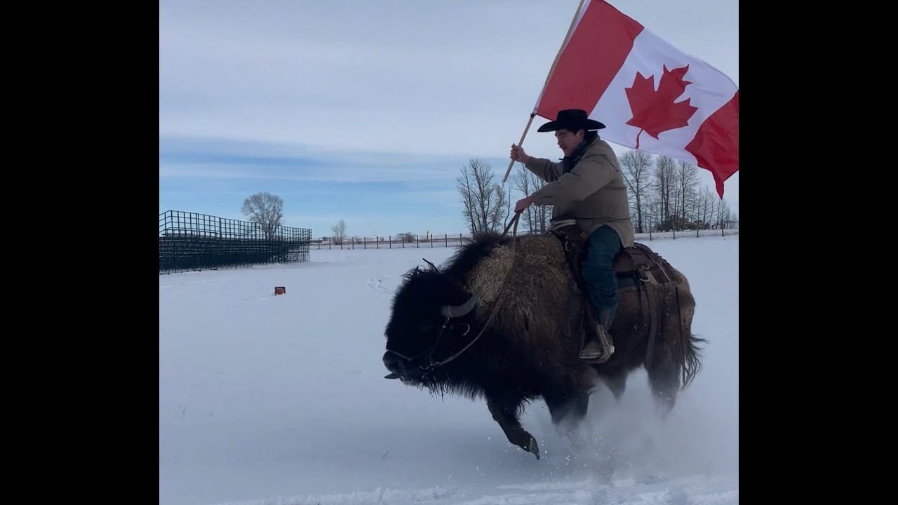 The Canadian patriot - YouTube