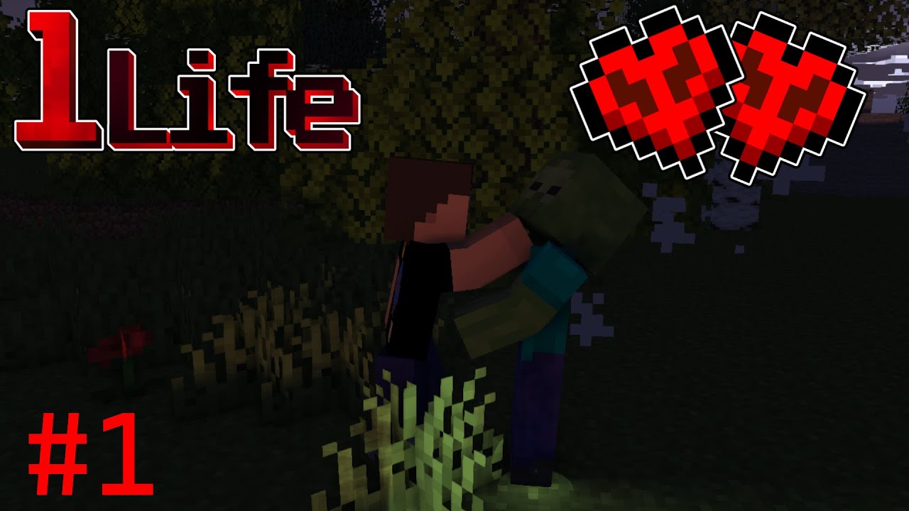 One Life 2(Minecraft Hardcore): #1 Der erste Tag - YouTube