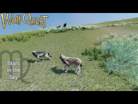 Mega Moose HUNT from the EDGE! ⭐ WQ 3: Stars in the Sky - YouTube