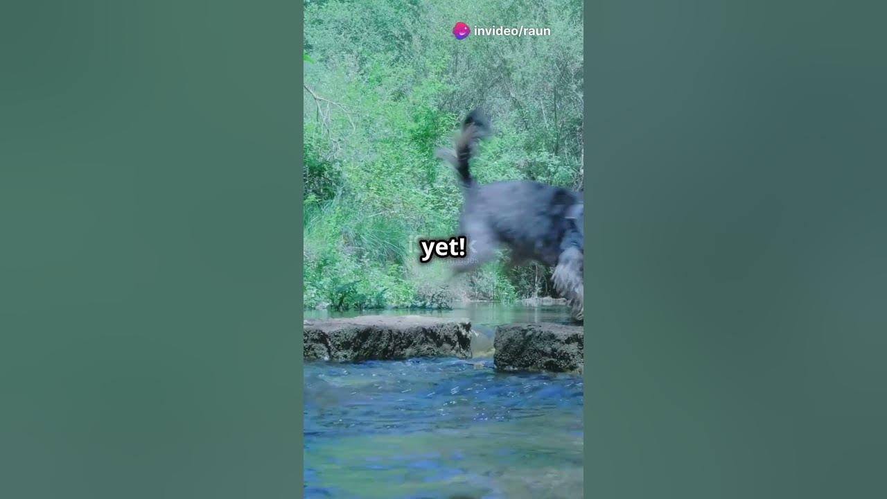 Cross the River Challenge: Farmer's Puzzle! #riddles #mindchallenge # ...