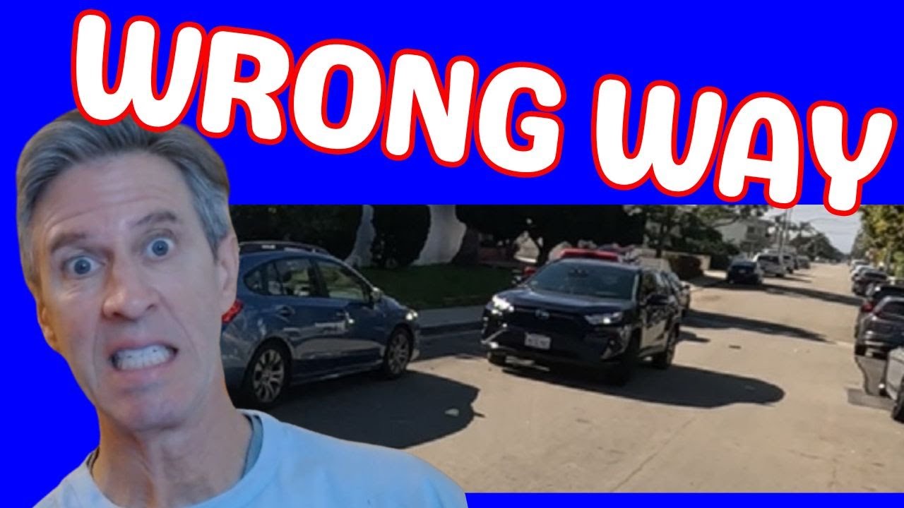 Please don't run over me!! WRONG way on ONE way street!! (Link to full ...
