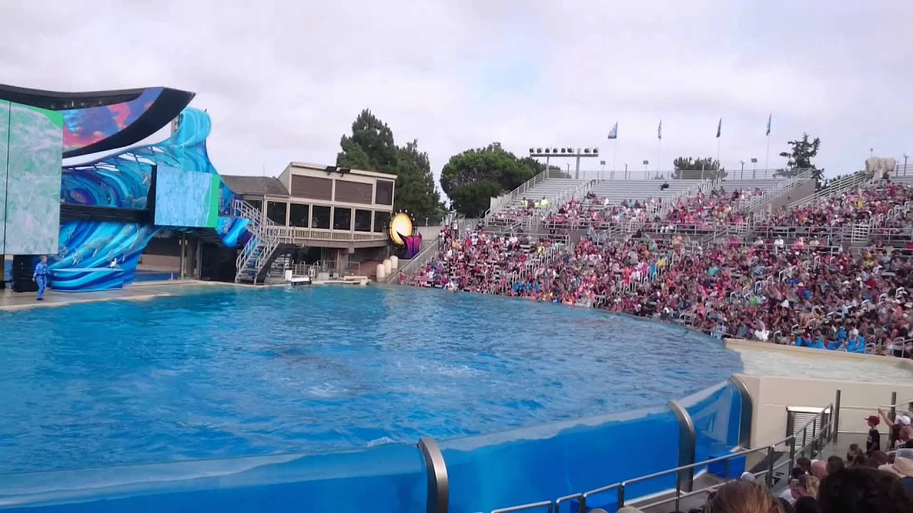 The Shamu in San Diego California - YouTube
