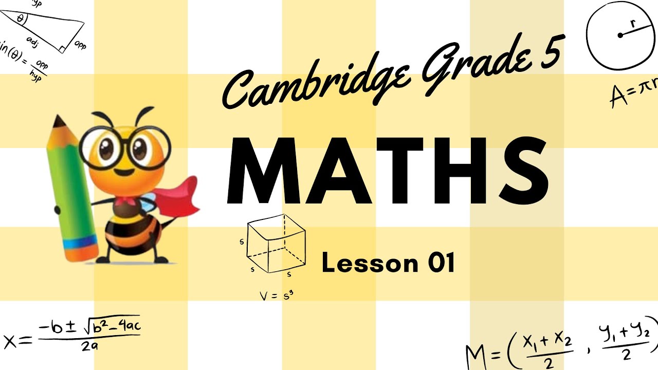 Cambridge Grade 5 Maths Lesson 01 | Study Bee - YouTube