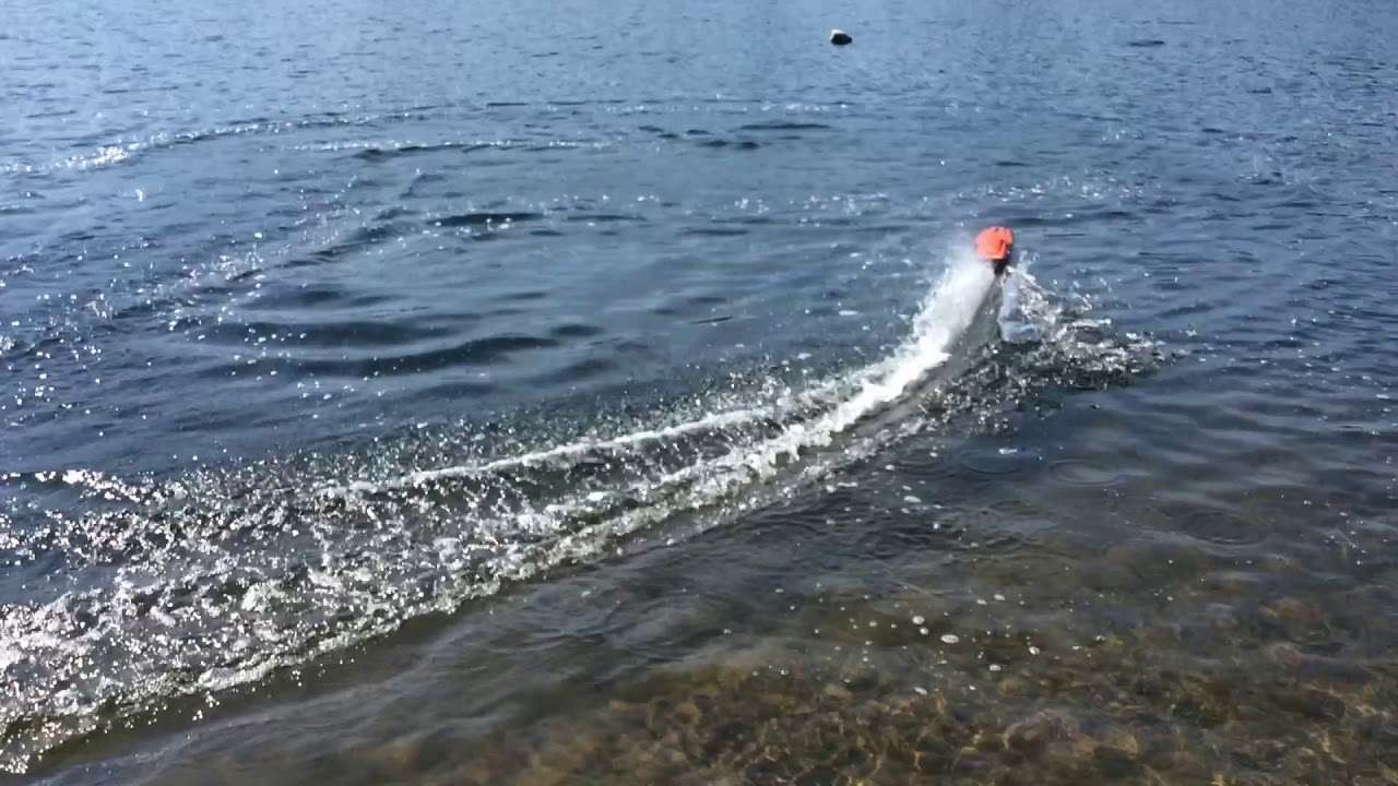 Junior Avec Son Stealthwake 23’’ Pro Boat Lac Perchaude - YouTube