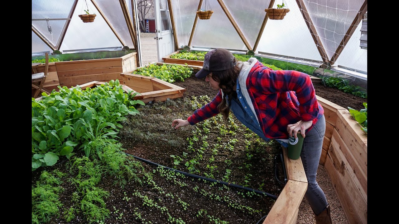 26' Growing Dome Greenhouse - Golden, CO - YouTube
