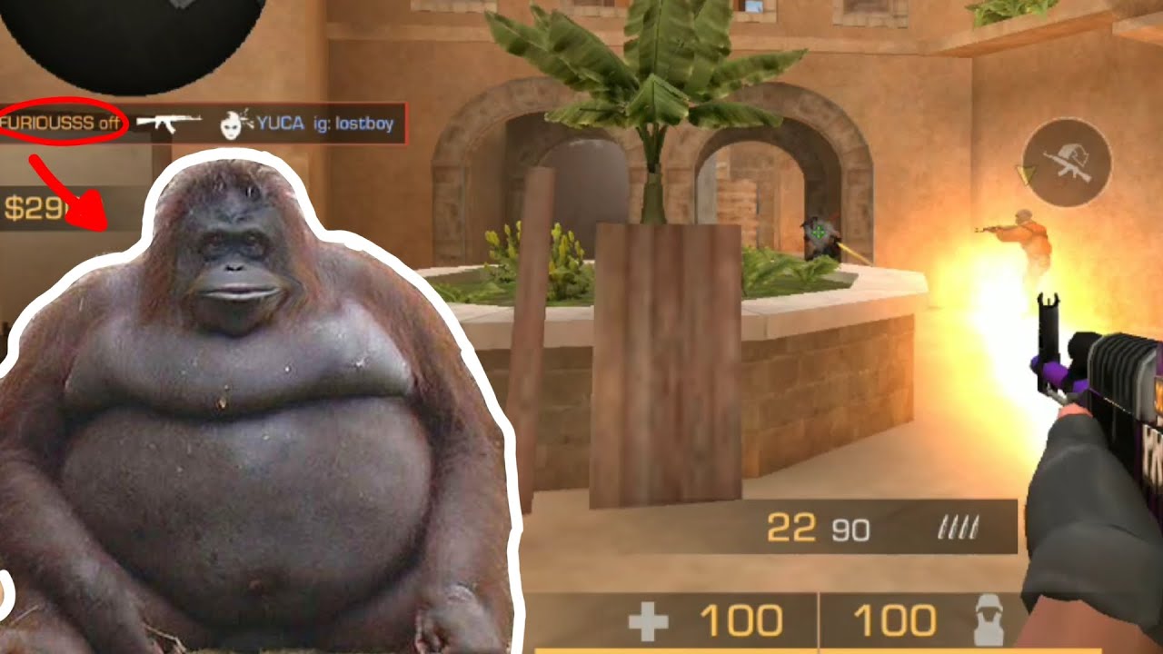 MONKEY PEEK - YouTube