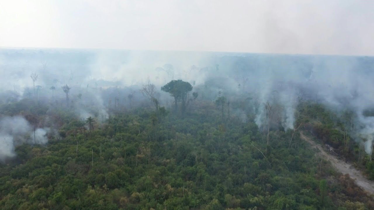 Amazonie : retour sur les incendies qui ont dévasté la région | AFP ...