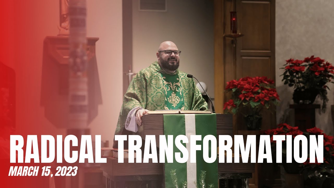 Transforming the Root of the Problem - Fr. Patrick Schultz - YouTube