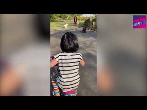 MSD Cute Baby Ziva - YouTube