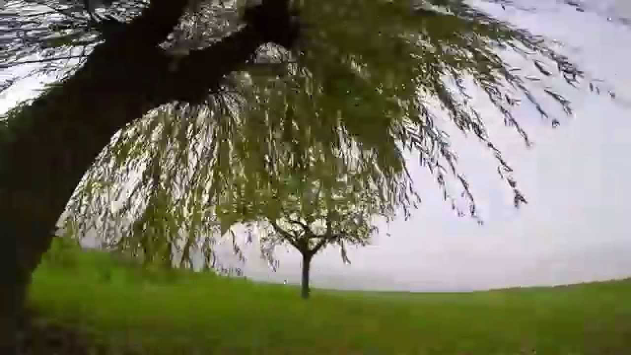 MFL-S1E1-Rotoboy - YouTube