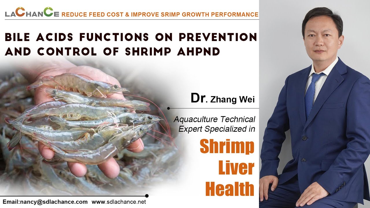 Bile acids effects on prevention and control shrimp AHPND - YouTube