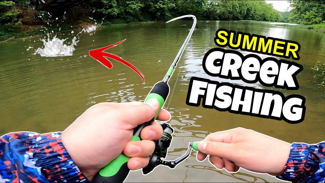 MICRO Fishing for ANYTHING that Bites in the CREEK - YouTube