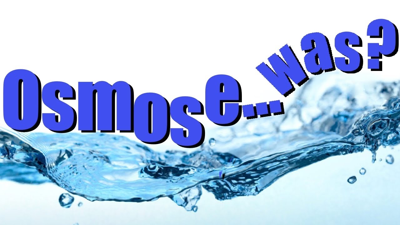 Was ist Osmosewasser? Wir beantworten diese Frage! - YouTube