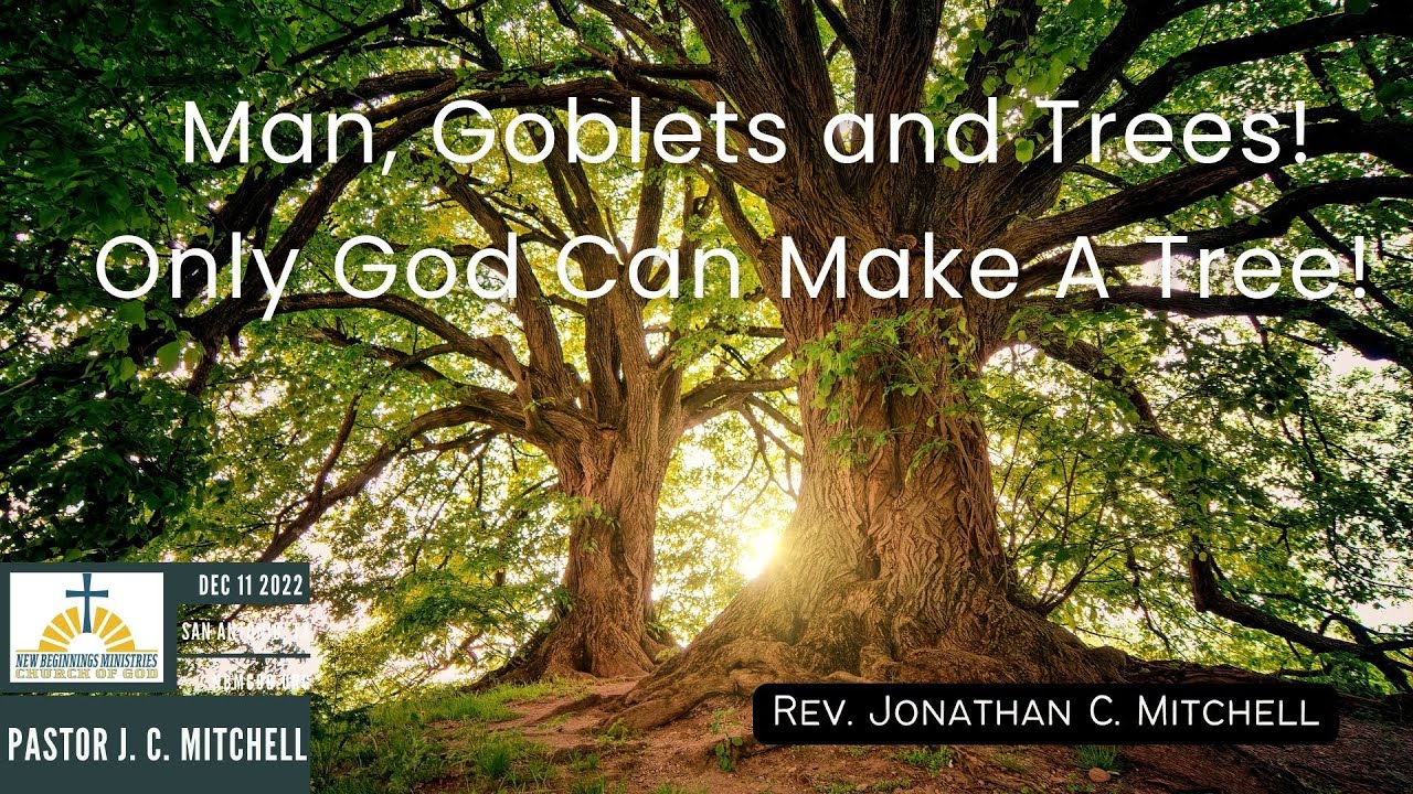 NBMCOG Morning Worship - Man, Goblets and Trees!: Only God Can Make a ...