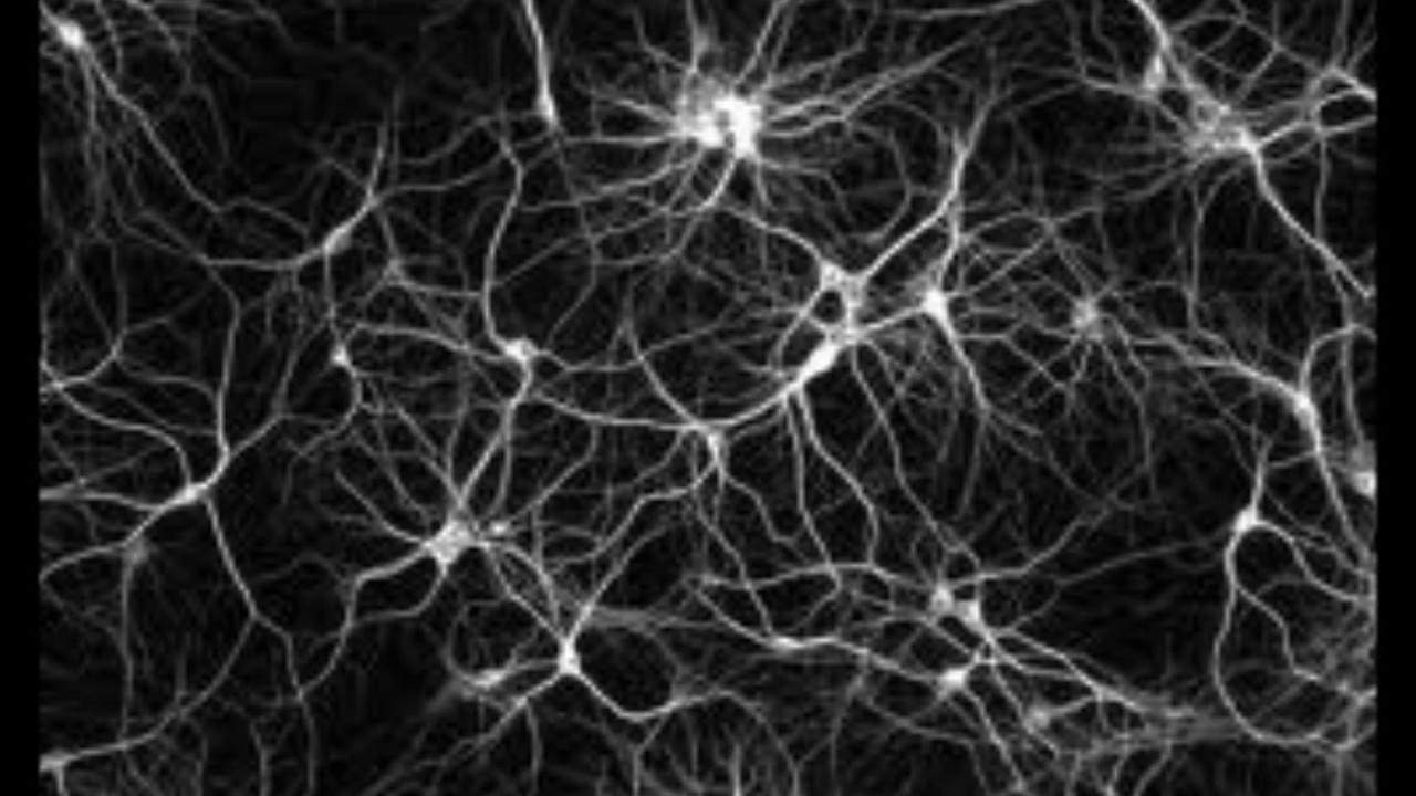 MICRO MACRO UNIVERSE - YouTube