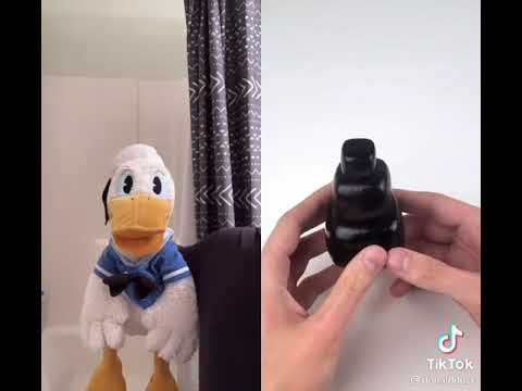 Donald ducc: The Best guess Ever - YouTube