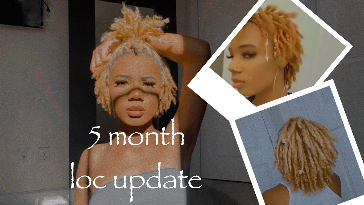 5 Month Loc Journey Update (Pictures and Videos) | Goldey Loc - YouTube