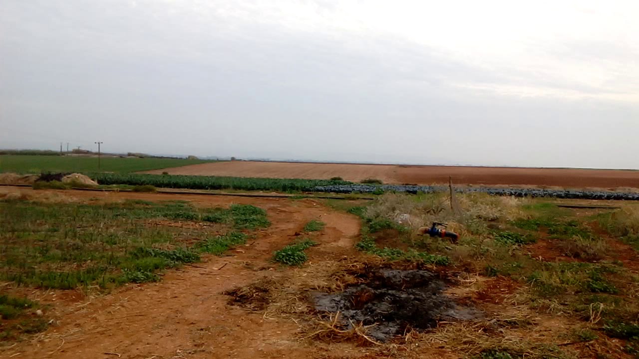 Cyprus farming - YouTube