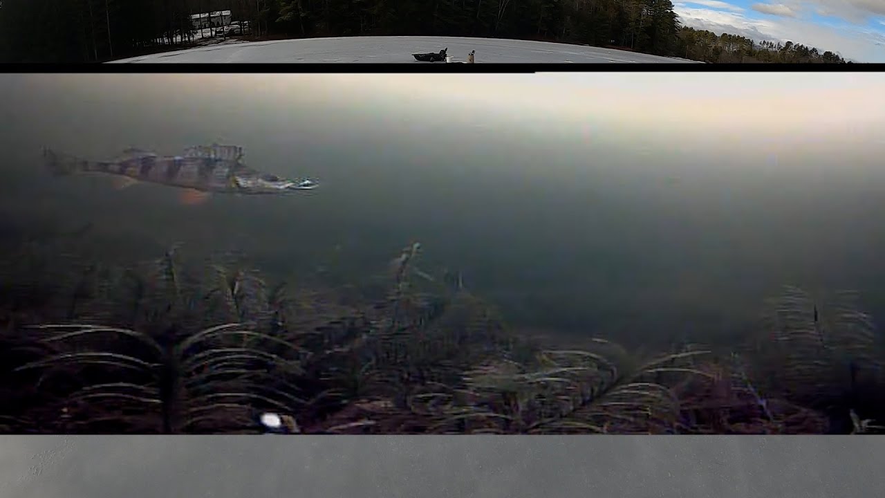 Ice Fishing a Shallow Lake w/ Underwater Camera and Shiners - YouTube