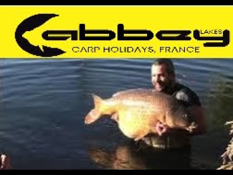 Carp Fishing - Abbey Lakes, France. - YouTube