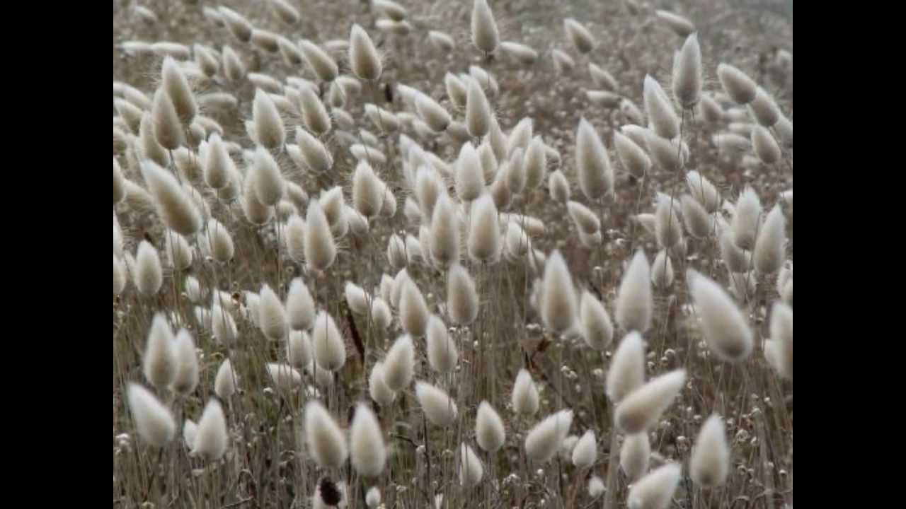 For my friend Mark Meinhardt...magically - YouTube