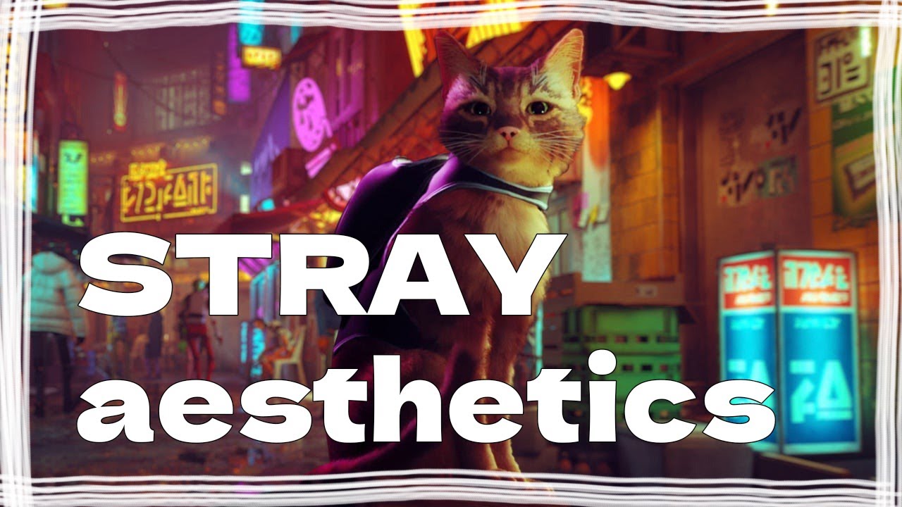 Stray aesthetics gameplay - YouTube