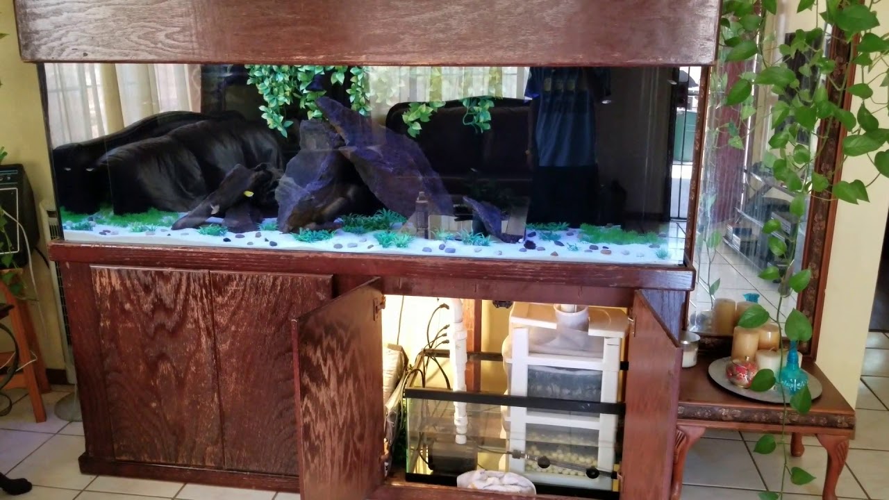 Diy trickle filter - YouTube